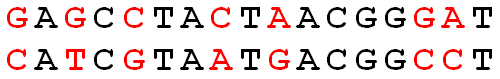 06 Counting Point Mutations 